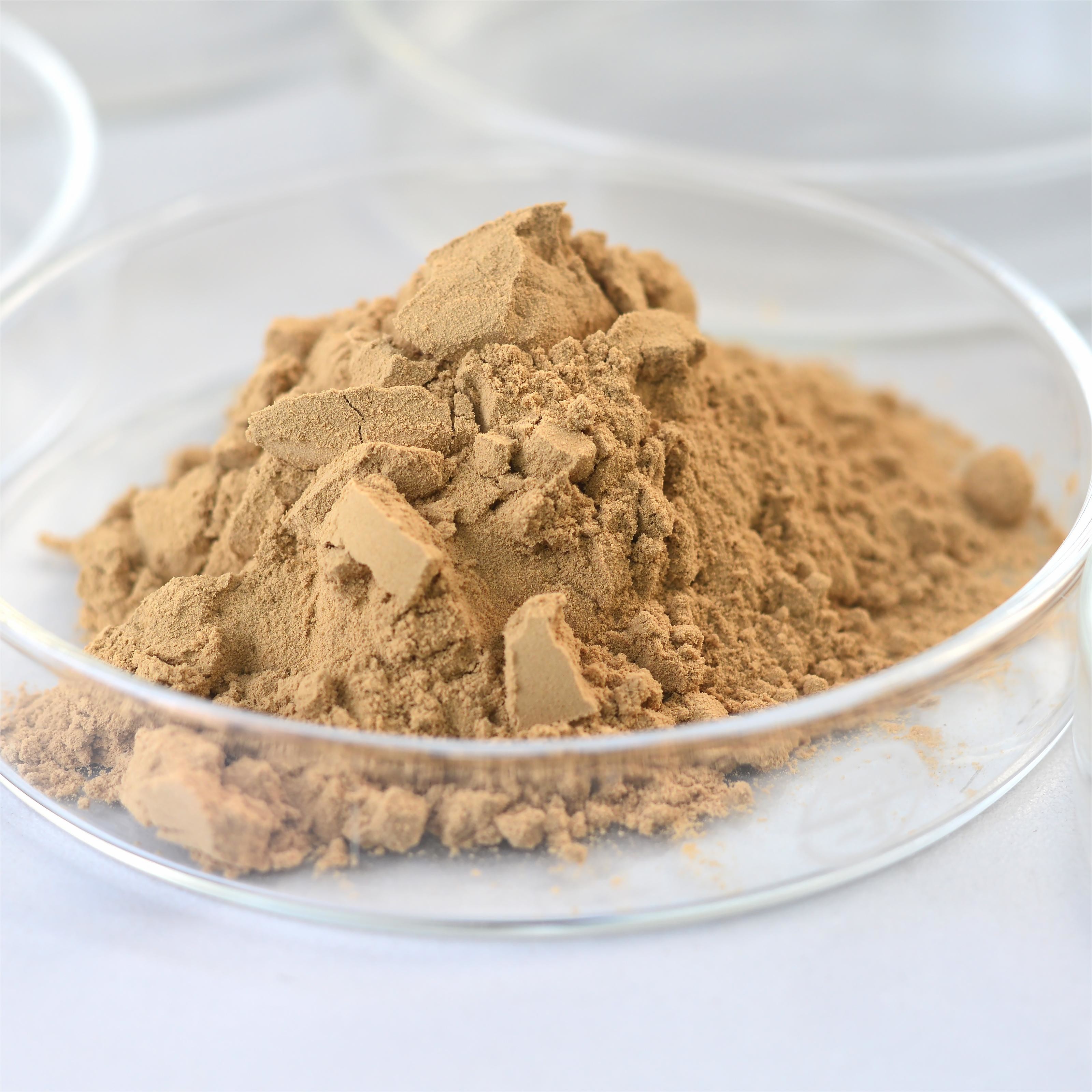 High Temp Amylase Alcohol Enzyme For MSG Starch Sugar Industry