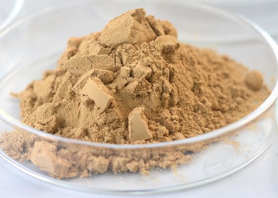 Quality Food Grade Enzymes & Industrial Enzyme factory from China